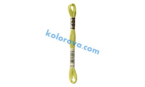 Embroidery Threads - Mouliné DMC 3819 Wholesale | TM KOLOROVA