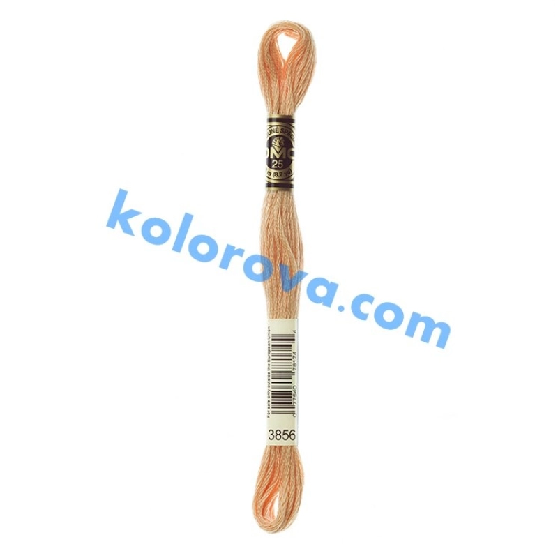 Нитки для вишивання - Муліне DMC 3856 оптом | ТМ КОЛЬОРОВА
